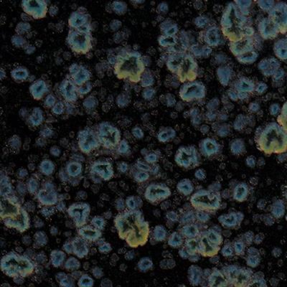 CG786-4 oz. Obsidian Jungle Gem Crystal Glaze by Mayco Colors for ...